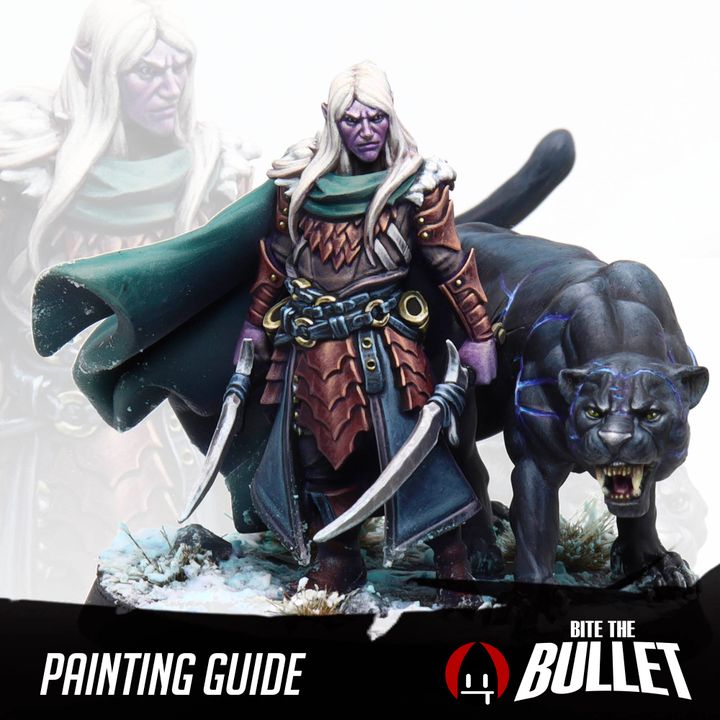 3D Printable [PDF Only] (Painting Guide) Drow Ranger (+ Black Panther) by Bite the Bullet